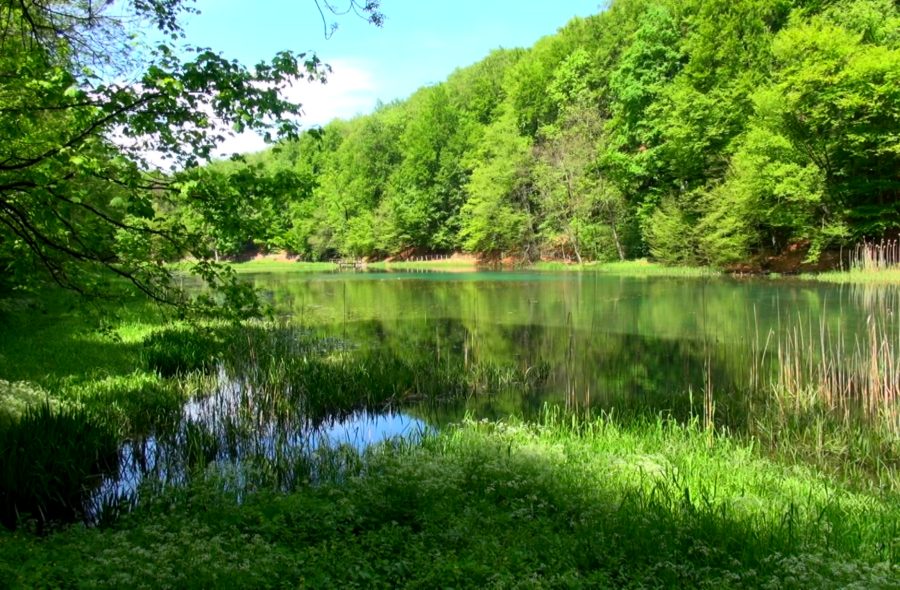 Park prirode Papuk – TheCroats.com